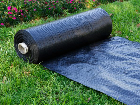 Biodegradable Cardboard Ground Cover